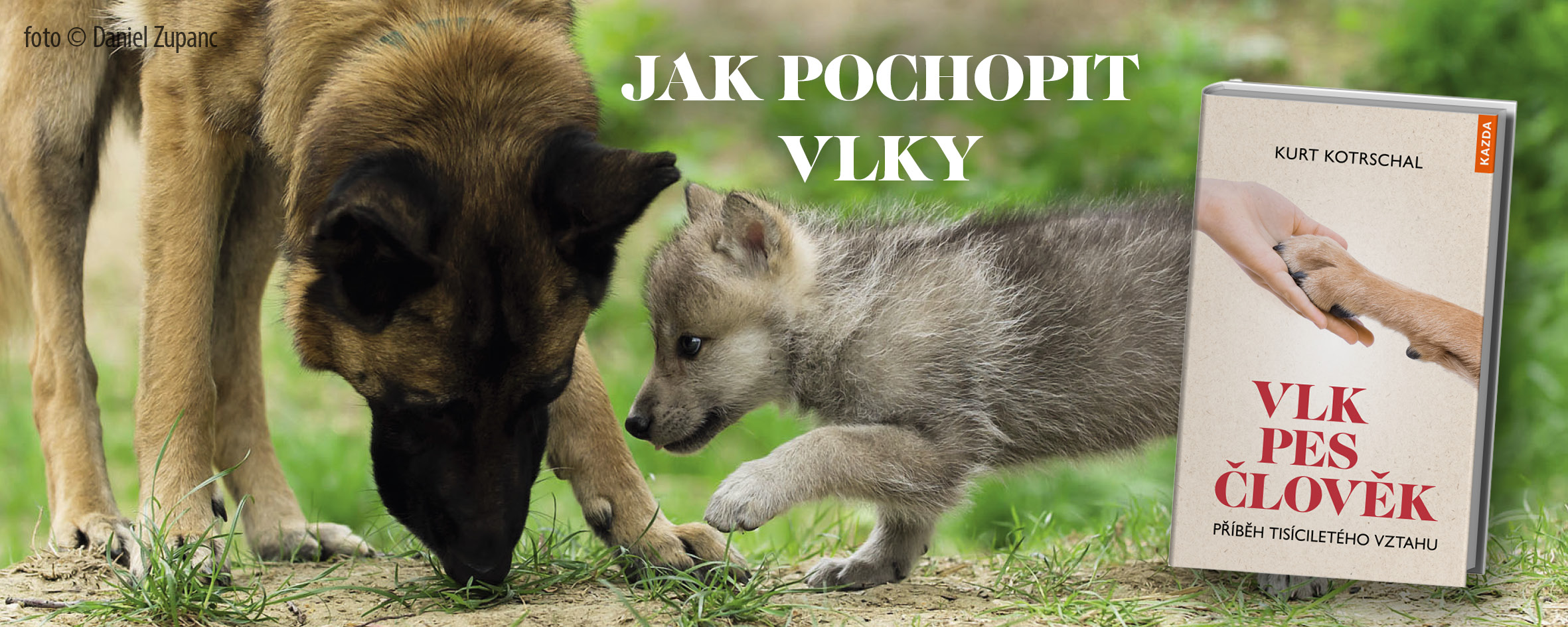 Vše, co jste chtěli vědět o vlcích, psech i člověku - Nakladatelství Kazda